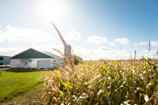 Egg Quality Certification Aligns with Consumer Preference for ...