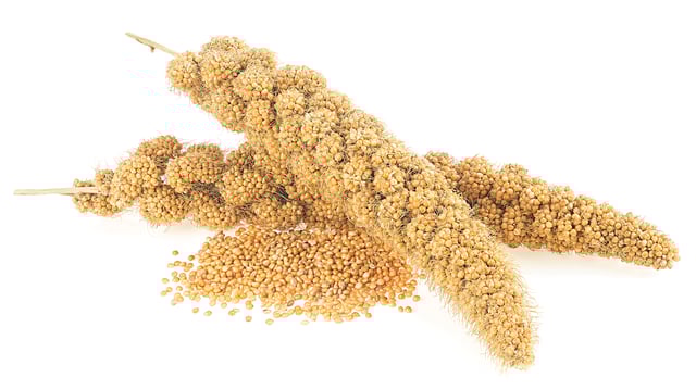 Four things to know about millets | Canadian Grocer