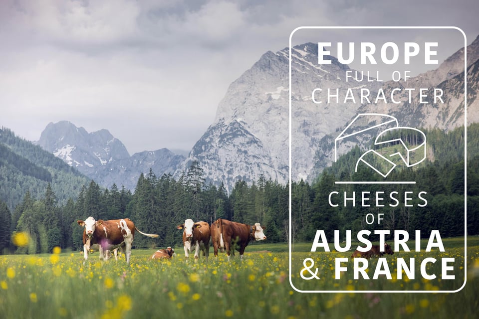European cheeses combine superb taste and tradition | Canadian Grocer