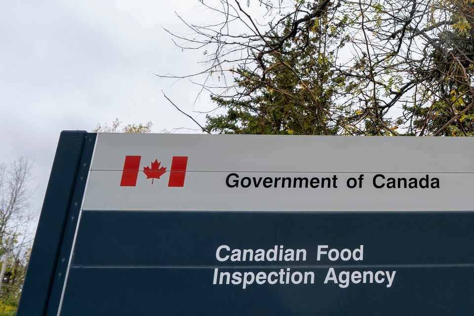 Canadian Food Inspection Agency repeals outdated regulations | Canadian ...