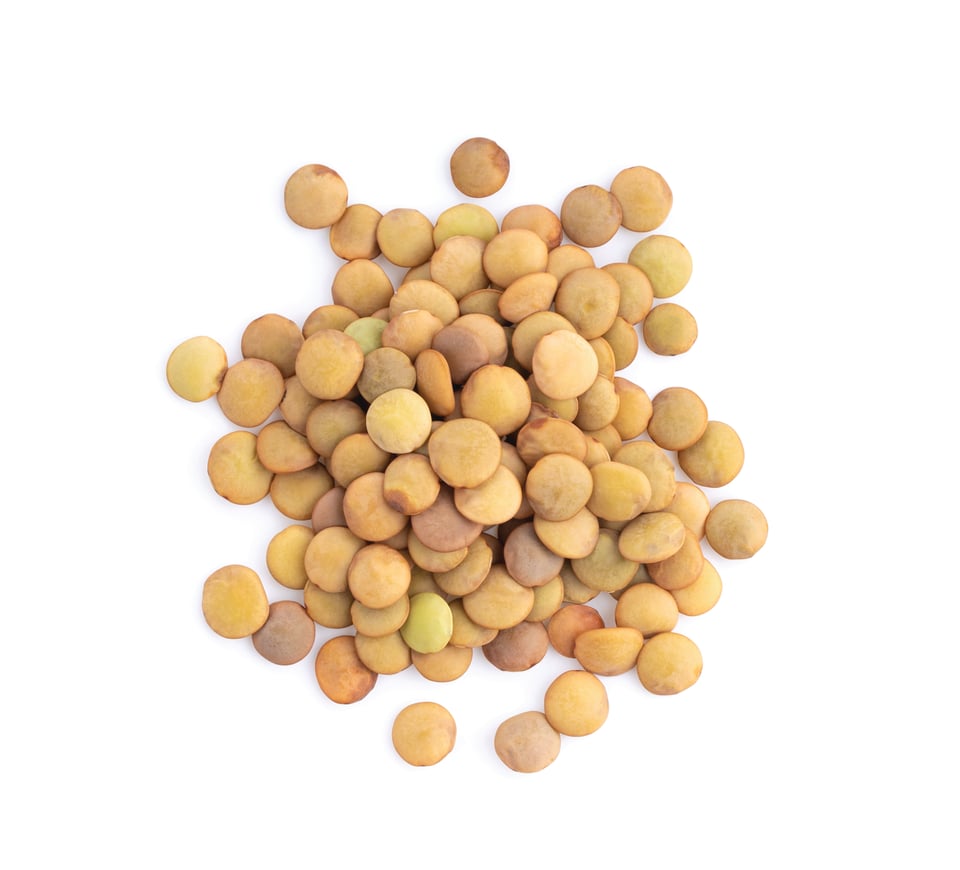 Four things to know about lentils | Canadian Grocer