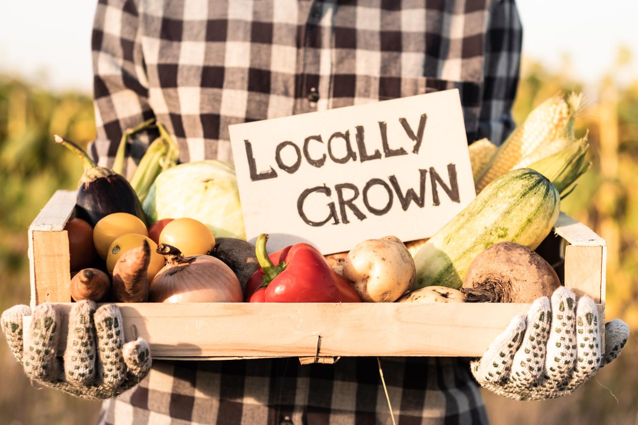 Local food producers finding retail pathways in Ontario | Canadian Grocer