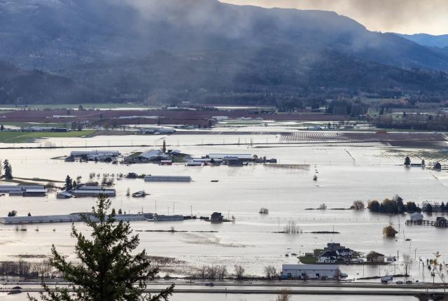 Floods, drought, storms could cost Canadian retail, agriculture sectors ...