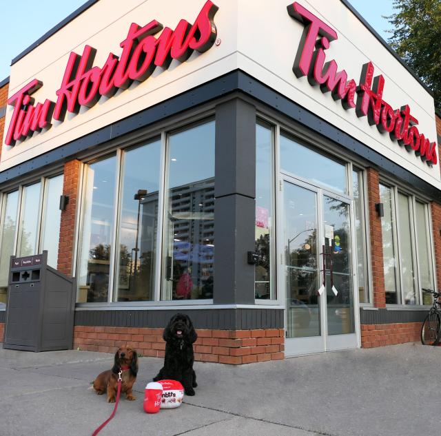 Tim Hortons introduces limited-edition dog toys | Canadian Grocer