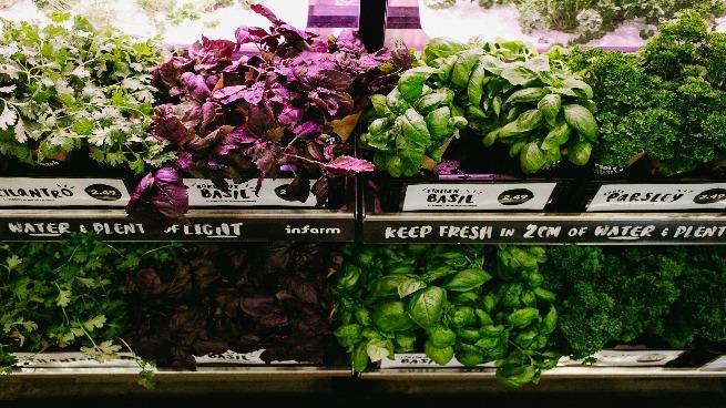 Sobeys brings store-grown produce brand Infarm to Ontario | Canadian Grocer