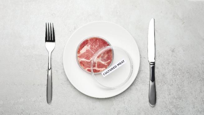 Could Canadians get behind cell-based meat? | Canadian Grocer