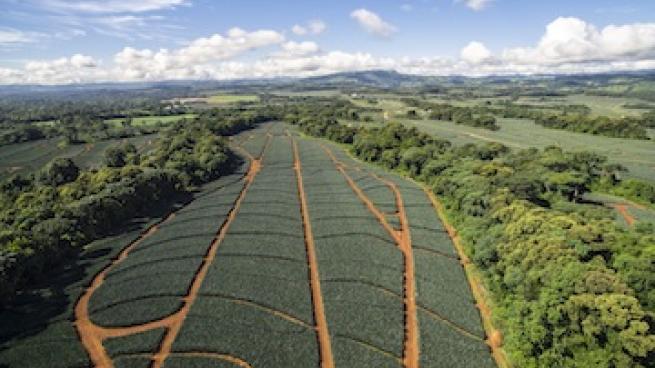 Del Monte: Helping the planet and communities where we operate ...