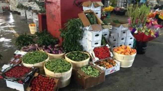 New bill would bring new agri-products to Ontario Food Terminal ...